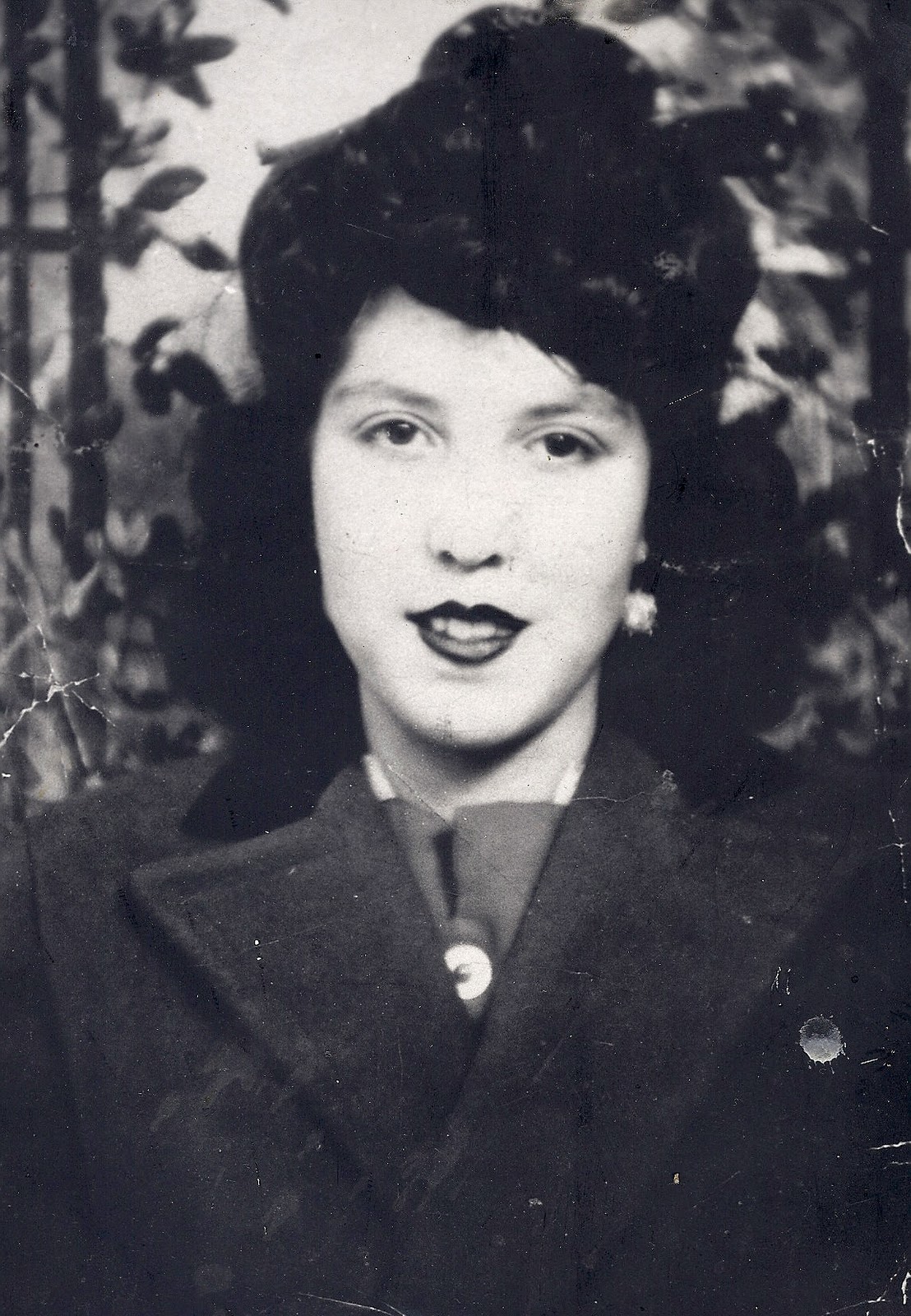 Plumley Family of the Dark Corner: The Plumley Family of the Dark Corner