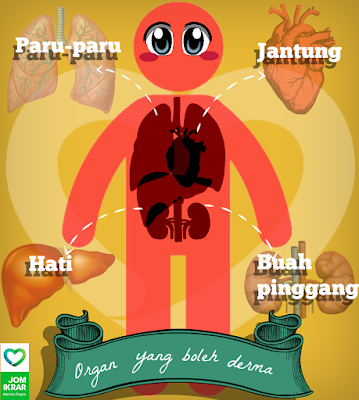 Derma Organ: Organ dan tisu yang boleh didermakan.