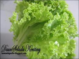 GAMBAR DAN NAMA LATIN SAYUR SAYURAN BESERTA KETERANGANNYA ~ bagi hasil
