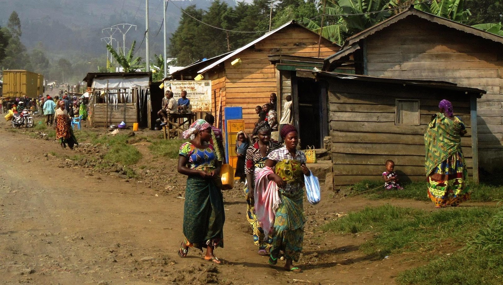 Bill's Excellent Adventures: Congo-Kinshasa