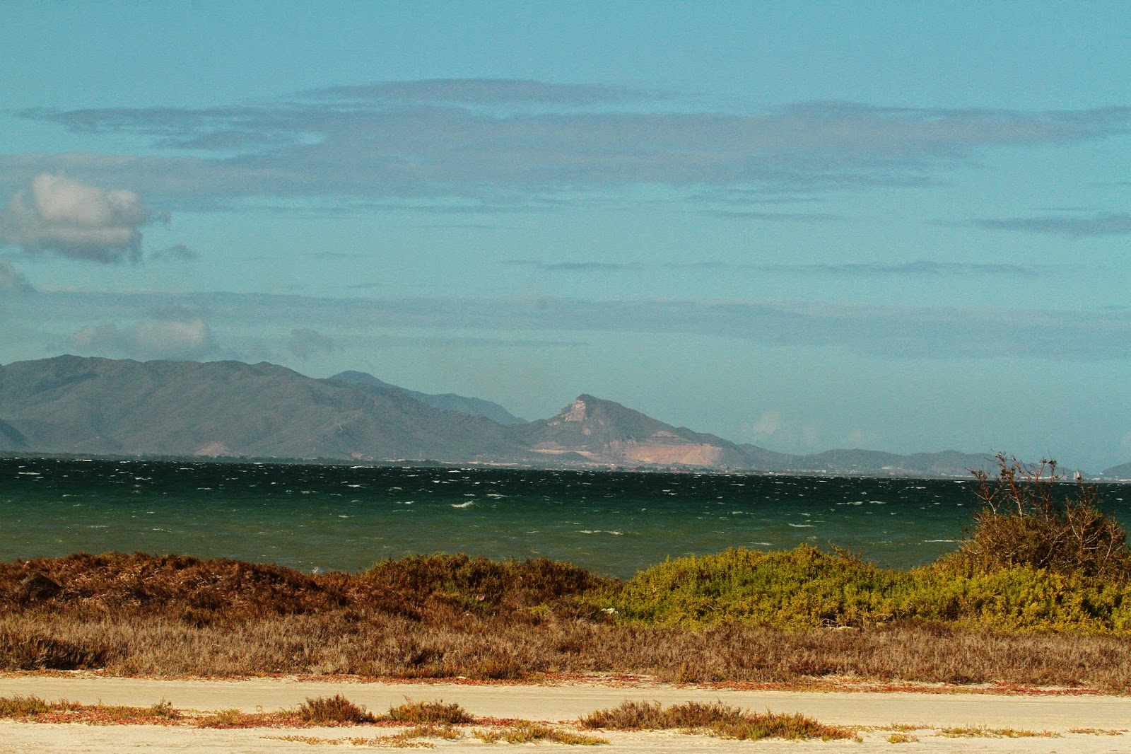 Nuestro bello mundo...: Impressions of Coche Island, Impresiones de la ...