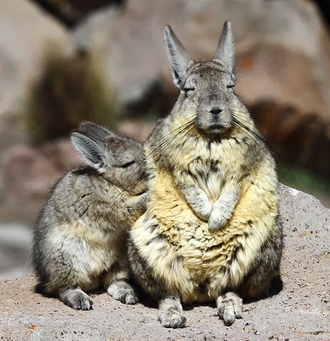 Images you just really like - Comic Fury Webcomic Hosting