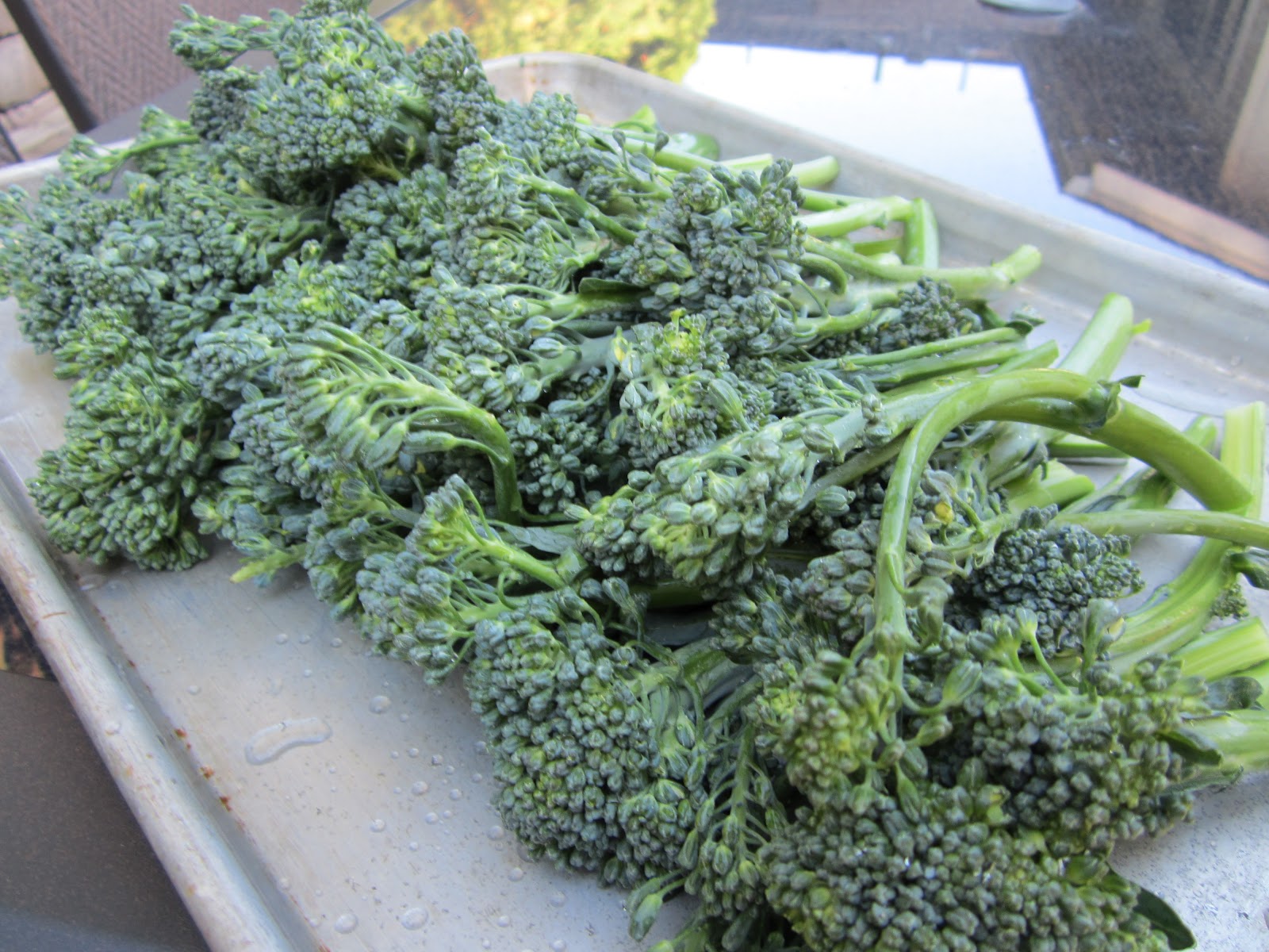 COOK WITH SUSAN: Broccolette