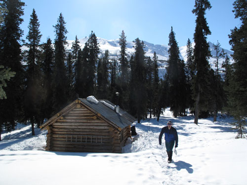 alaskatracks: Denali National Park in winter