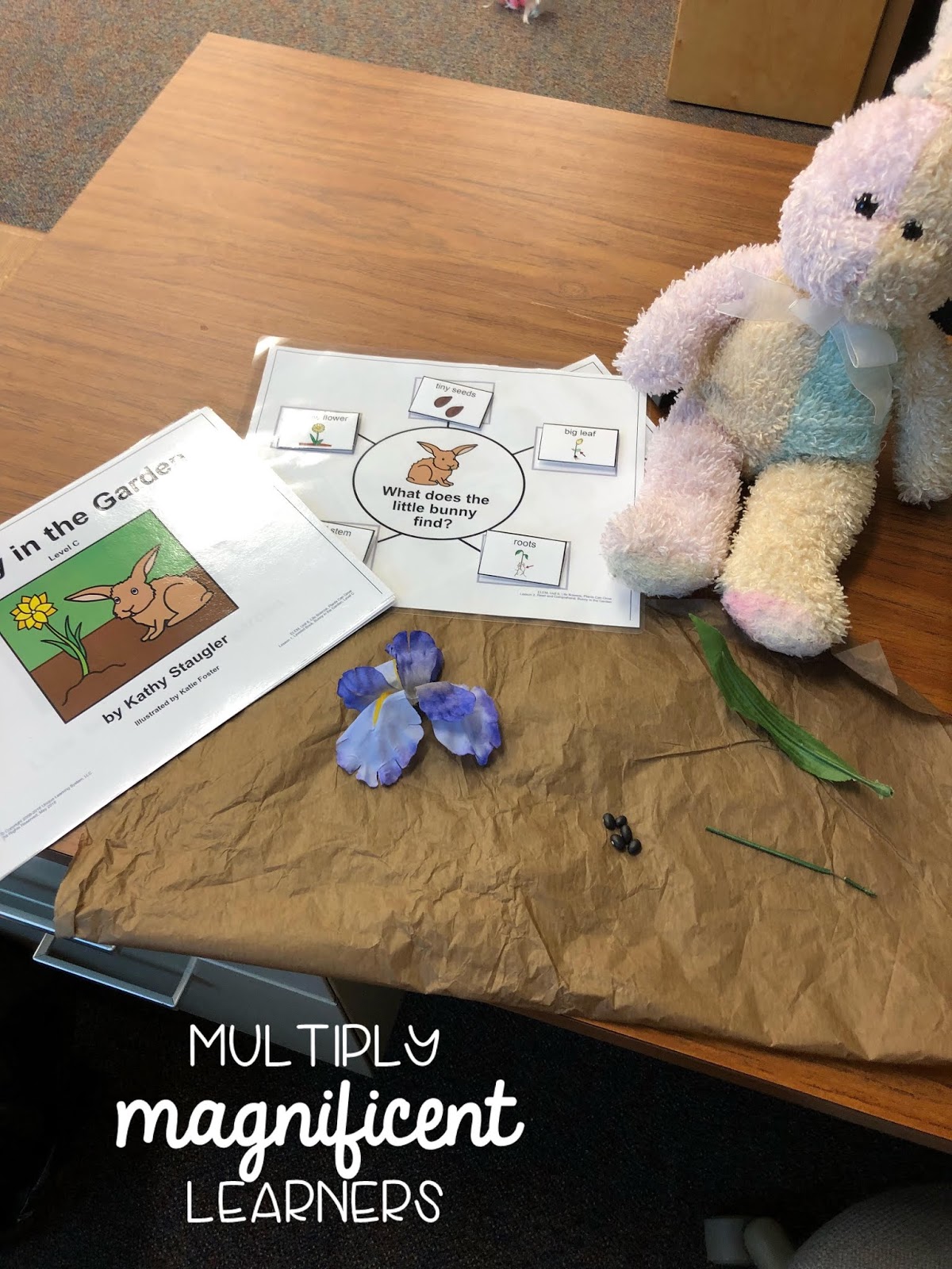 Unique Learning System Lesson Planning - Multiply Magnificent Learners