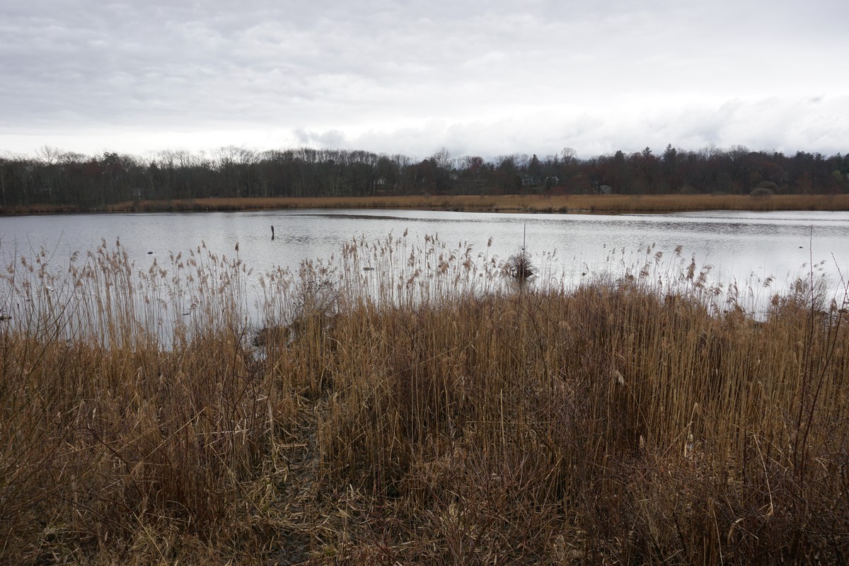 Harriman Hiker: Harriman State Park and Beyond: Celery Farm Loop