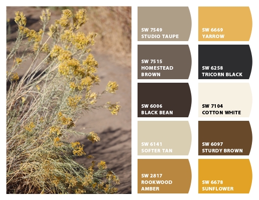 Sherwin Williams Bosc Pear