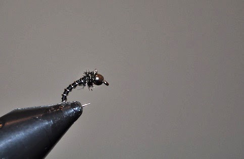 The Rogue Outdoors: Zebra Midge Variations