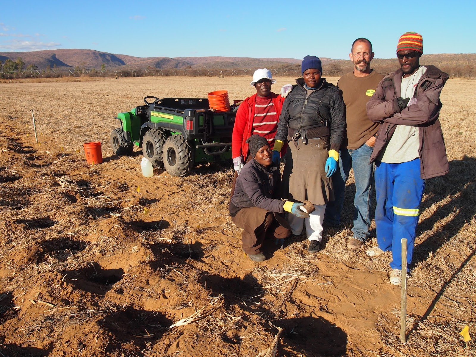 Zai: Reversing Desertification