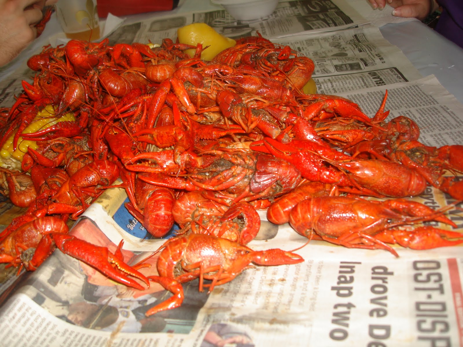 Blue's Clues: Crawfish Boil St. Louis Style