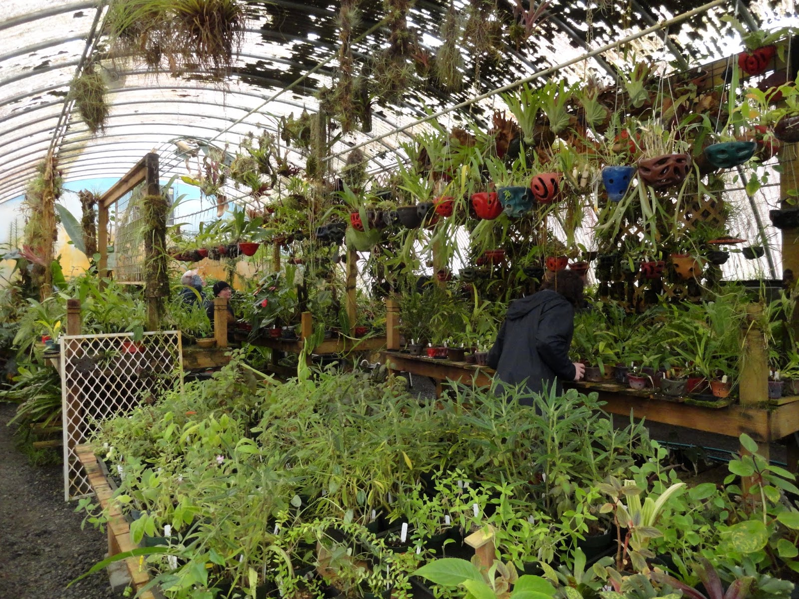 Practical Magic Greenhouse
