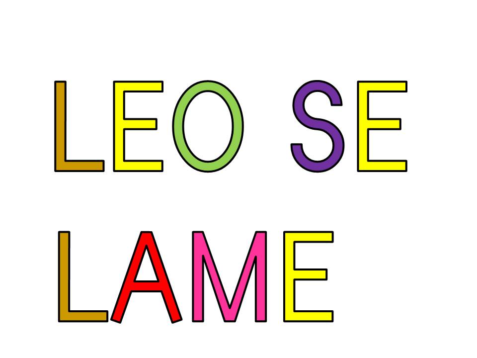 CARTILLA DE LECTURA INFANTIL : LEO SE LAME gatito