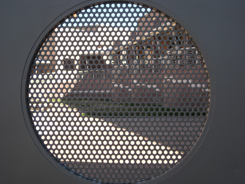 REVHS Photography: organic and man-made shapes