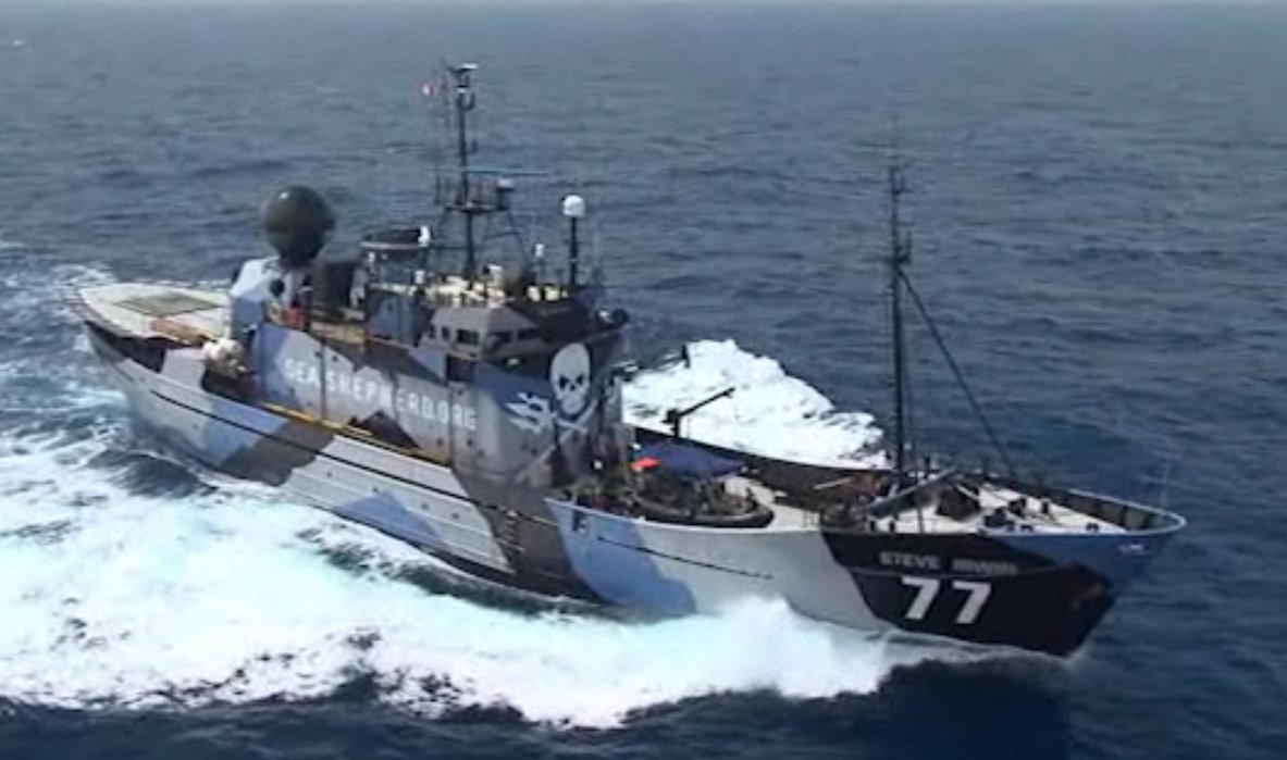 Sea Warrior - For a Better World: Sea Warrior - The start of a new blog