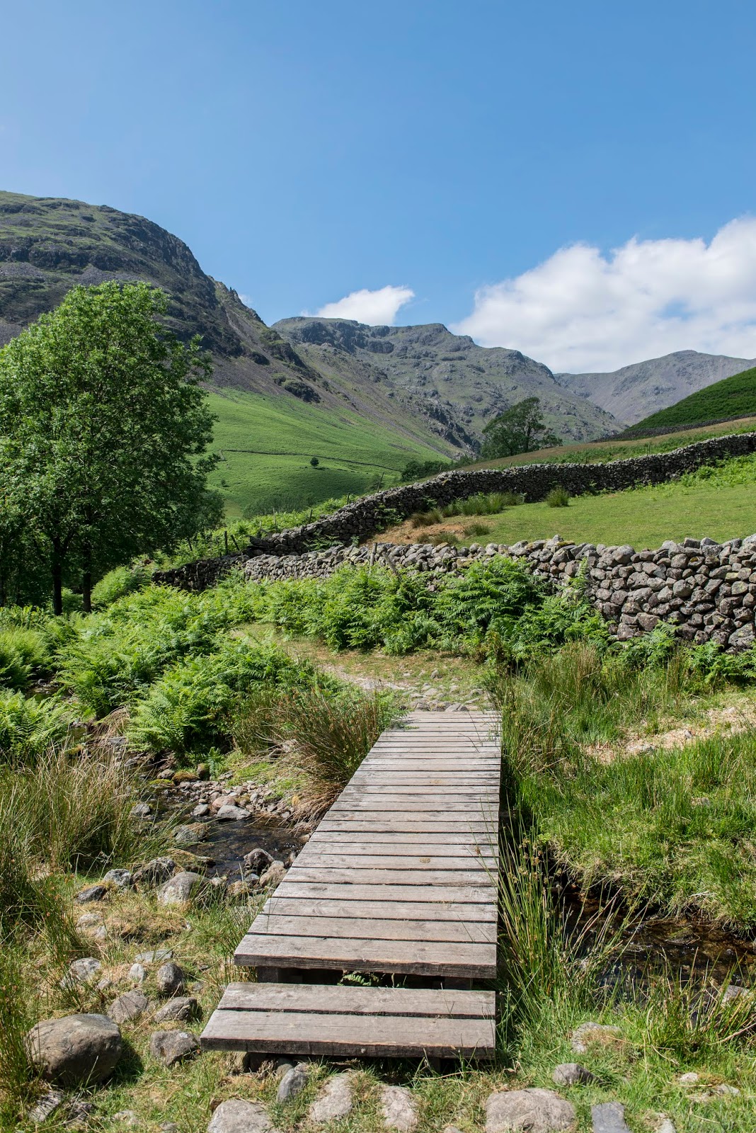Wigtwizzle - Norman Smith's Travel Blog.: Wasdale