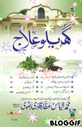 WELCOME TO APNA ISLAM 786: ISLAMIC BOOKS