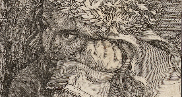 THE OTHER ART ONE: Amazing Lines of Durer