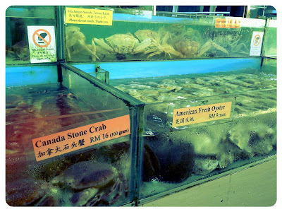 Kumpulan 9 Gambar Hewan Rengit Terbaru