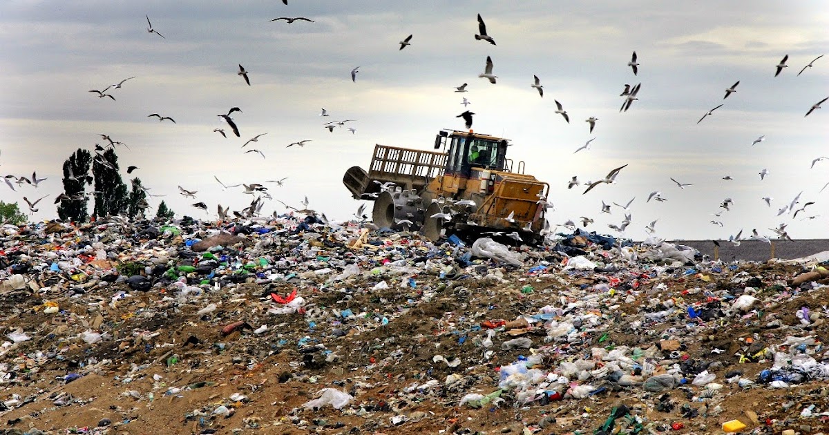 Embedding a promise to tackle waste in the New Year | Sri Lanka Guardian