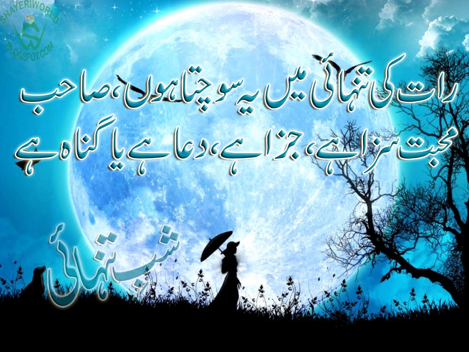 2 Lines Tanhai Shayari In Urdu With Images | SWSHAYARI