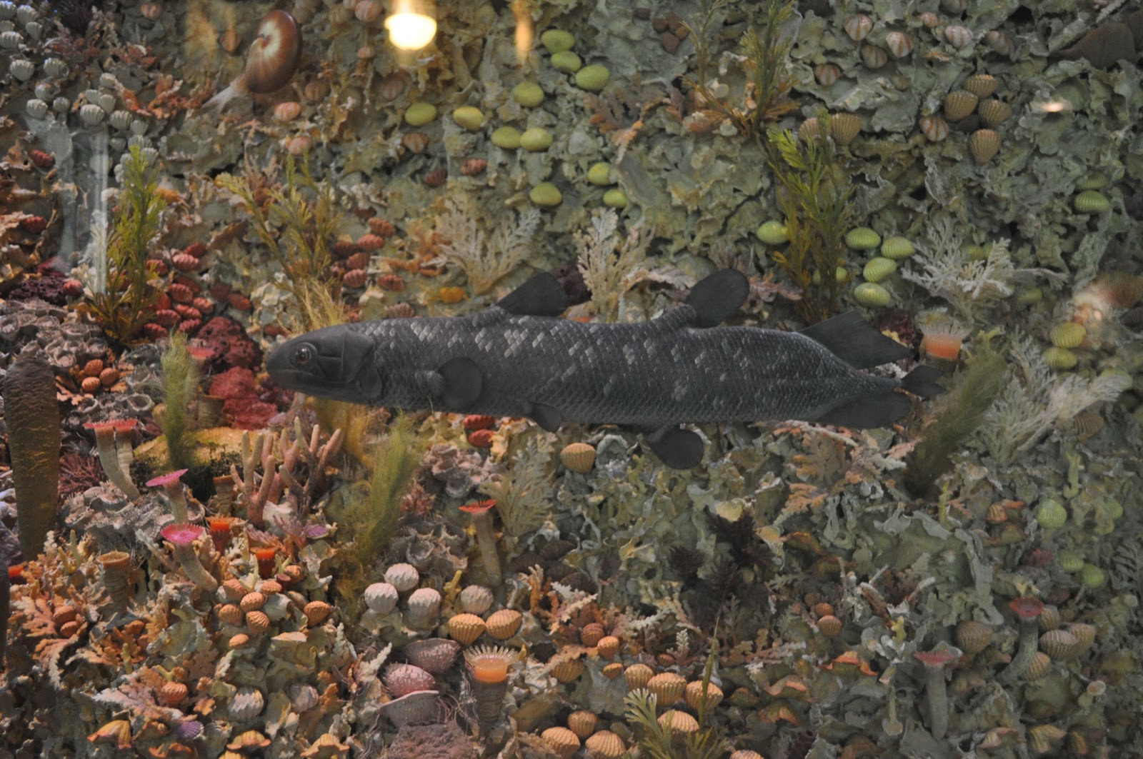 Superoceras: SVP 2011 (Day 1): Vertebrates in Vegas