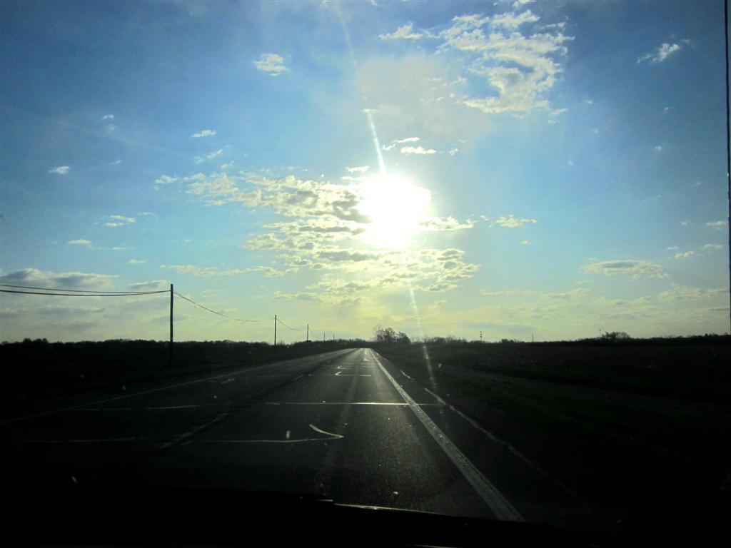 All about trees and plants: Southwest Michigan