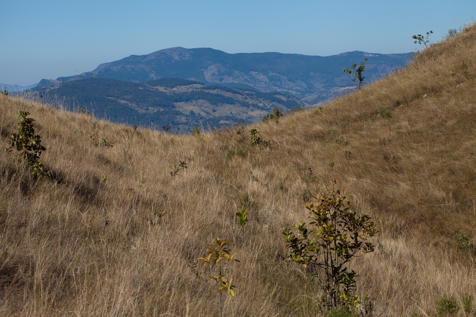 Verdenovo: Campos Naturais de Altitude