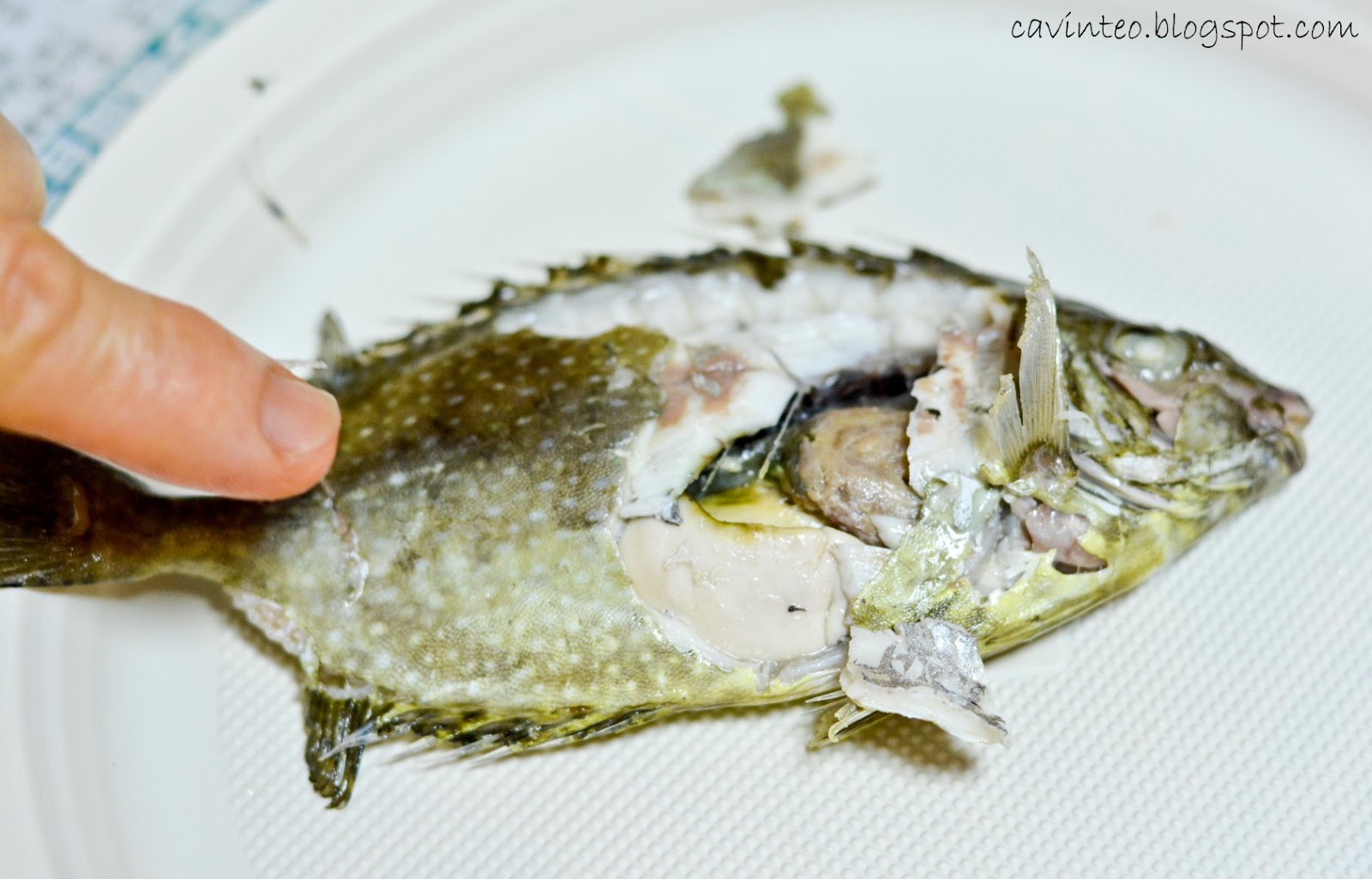 Entree Kibbles: The Fish That's a Must Have for Chinese New Year ...