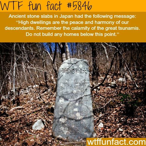 30 Random Trivia WTF Facts That Will Blow Your Mind | Amazing WTF Facts
