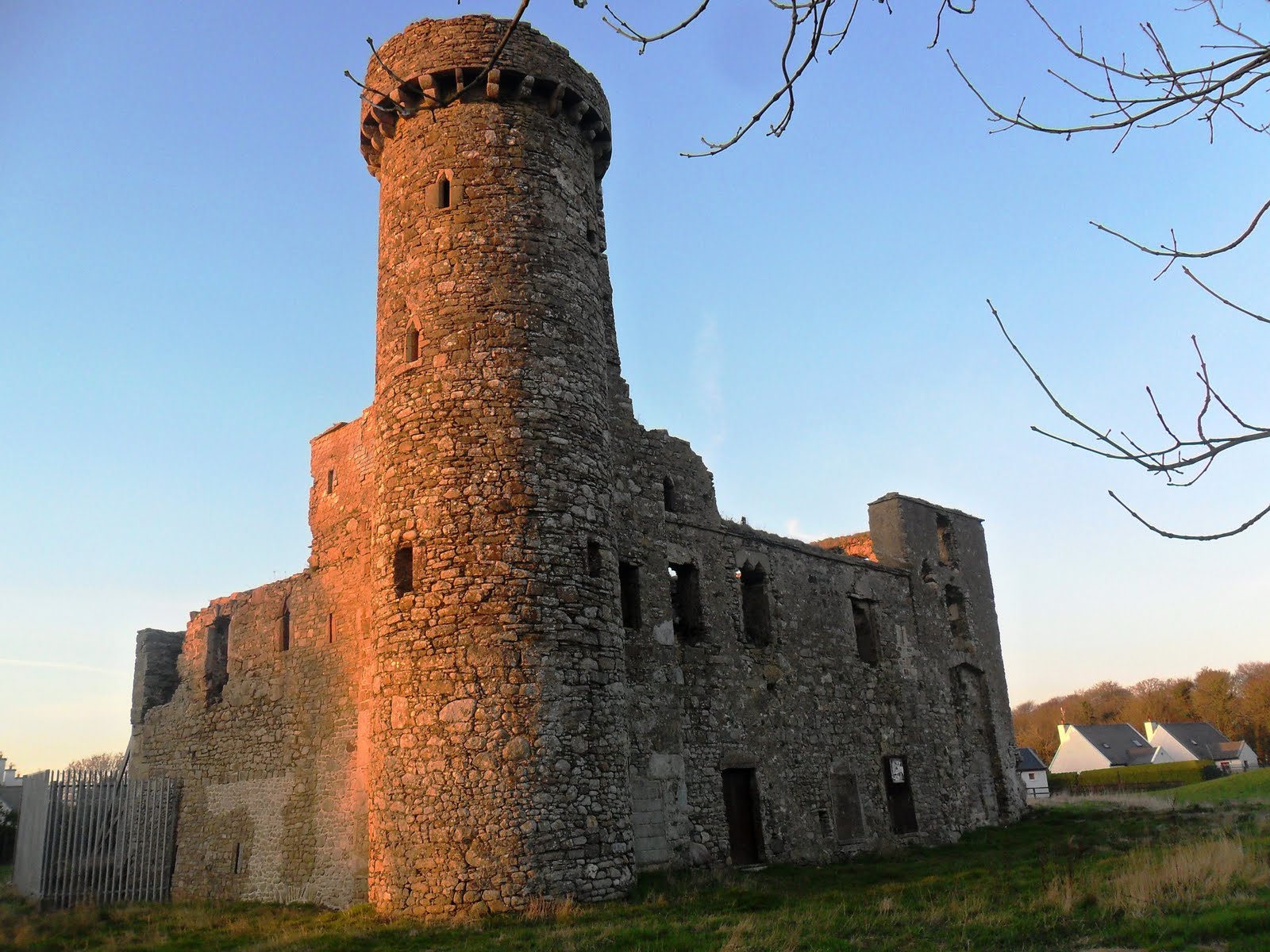 Comerford Family History: 11: Comerford of Horetown, Newbawn, &c., Co ...