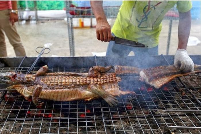 conSOLIDation: BBQ buaya di china