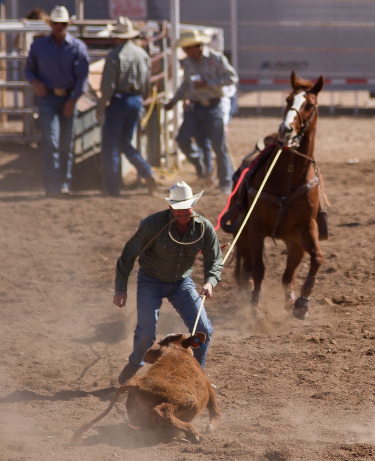James Gordon Patterson Photography: Cave Creek Rodeo 1 April 2012