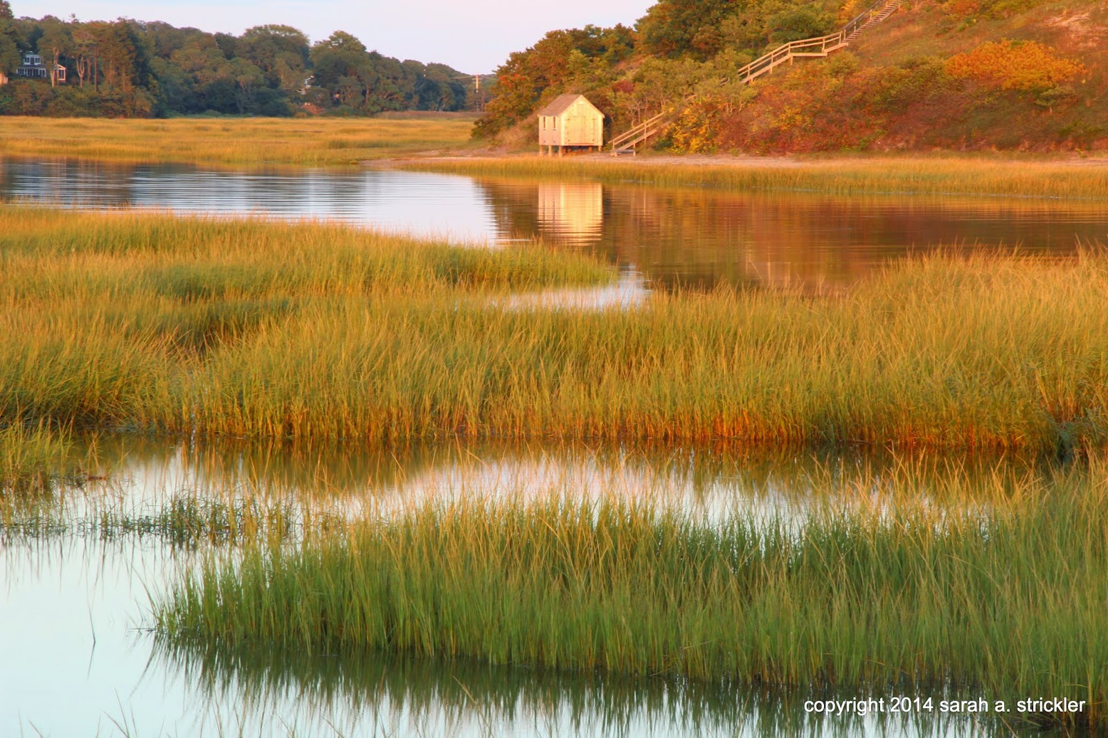 Of Leaf and Limb: Views along the Pamet: Truro's Tidal River and a ...