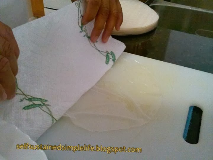 Our Journey to a Simple Life: Lumpiang Sariwa (Fresh Vegetable Springroll)