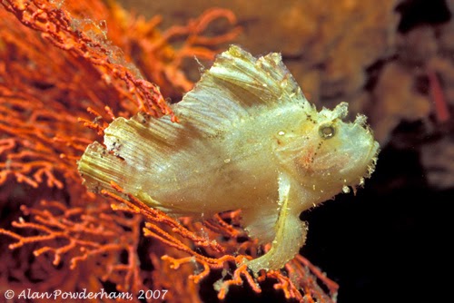 seeing INDONESIAN the Miracle of North Archipelago_EXplore TRAvel Guide ...