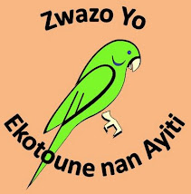 Zwazo Yo - Science Education and Ecotourism: Haitian art in Kansas