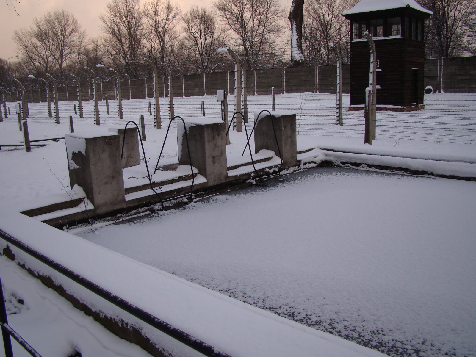 Auschwitz 2012: Auschwitz 1: The Swimming Pool