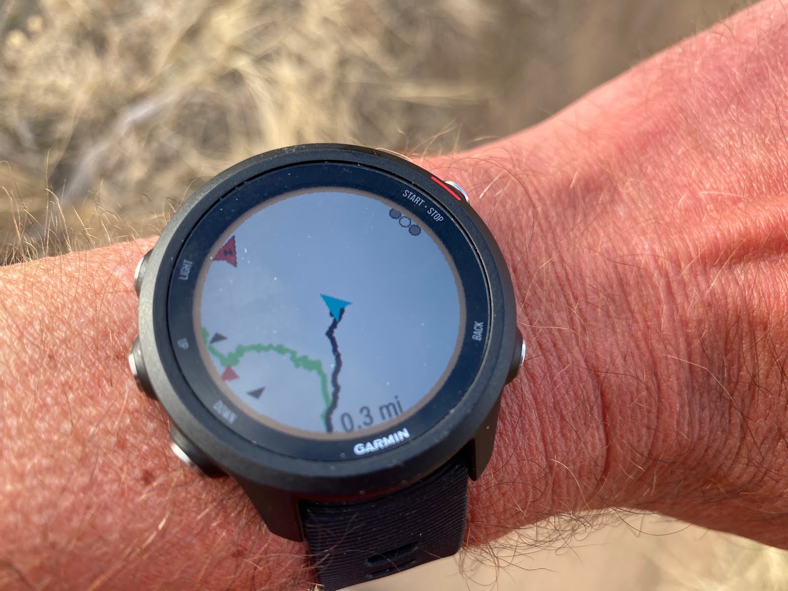 Road Trail Run: 2019 Garmin Forerunner 45, 245M, 945 and Fenix 6S Pro ...