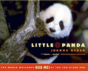 Ms. Batte's Kinderland: Unit 3, Week 1 - Little Panda
