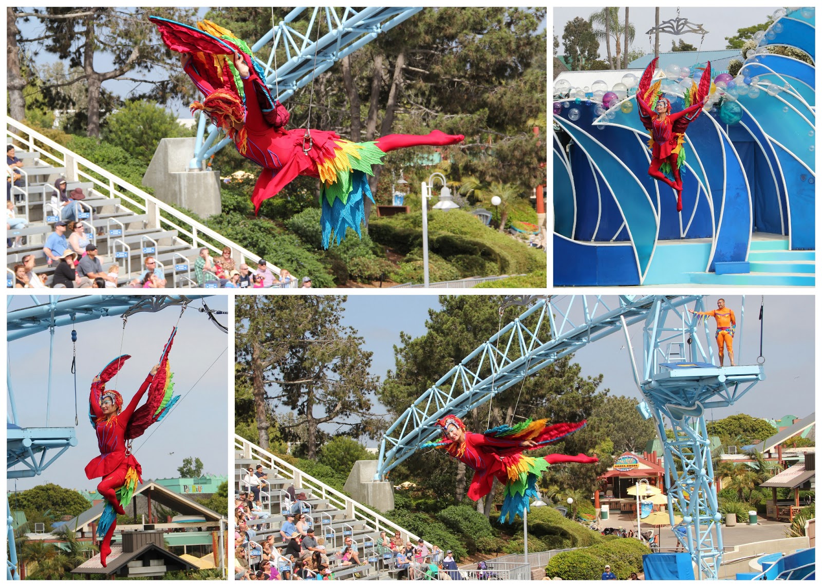 Like A Fat Kid Loves Cake: Sea World: Dolphin and Shamu Shows