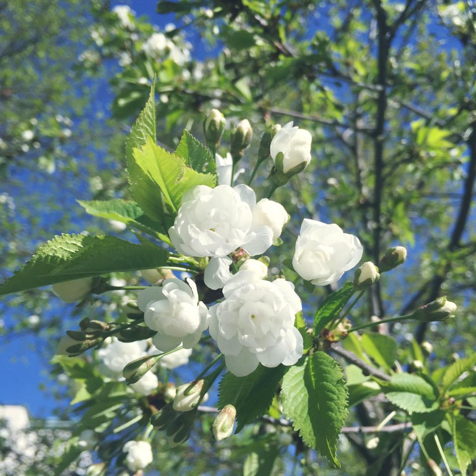 OI IHANA TOUKOKUU | Tuula's life