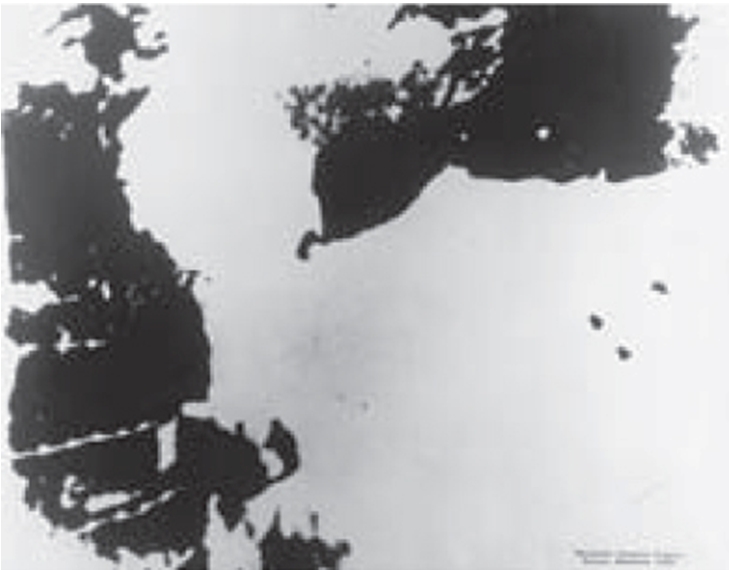 Renee's Psychology Resources: Can you see the cow?