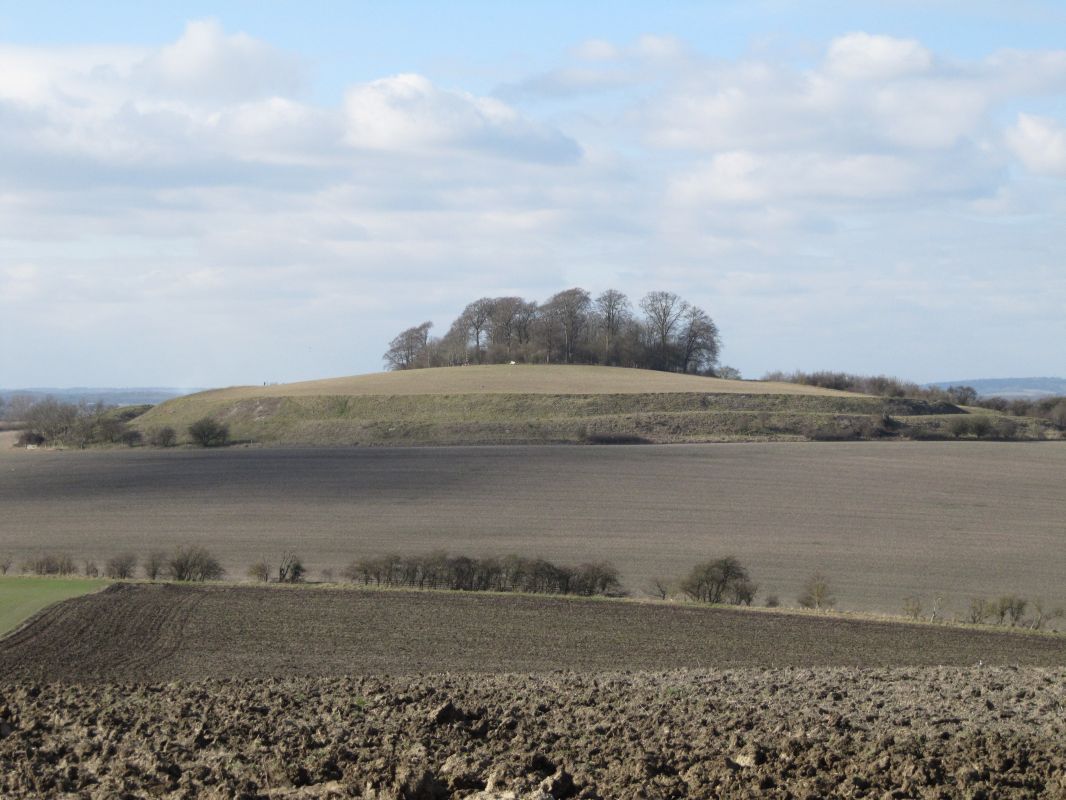 Spud's Daily Photo: Wittenham Clumps