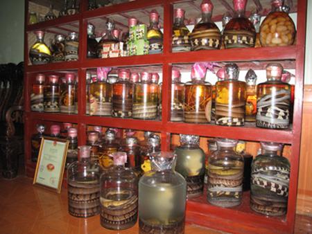 Rượu Rắn Vĩnh Sơn: Các vị thuốc từ Rắn