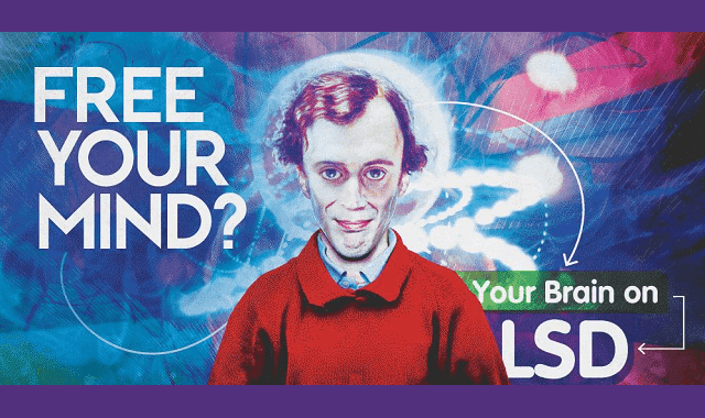 Free Your Mind: Your Brain on LSD #Infographic - Visualistan