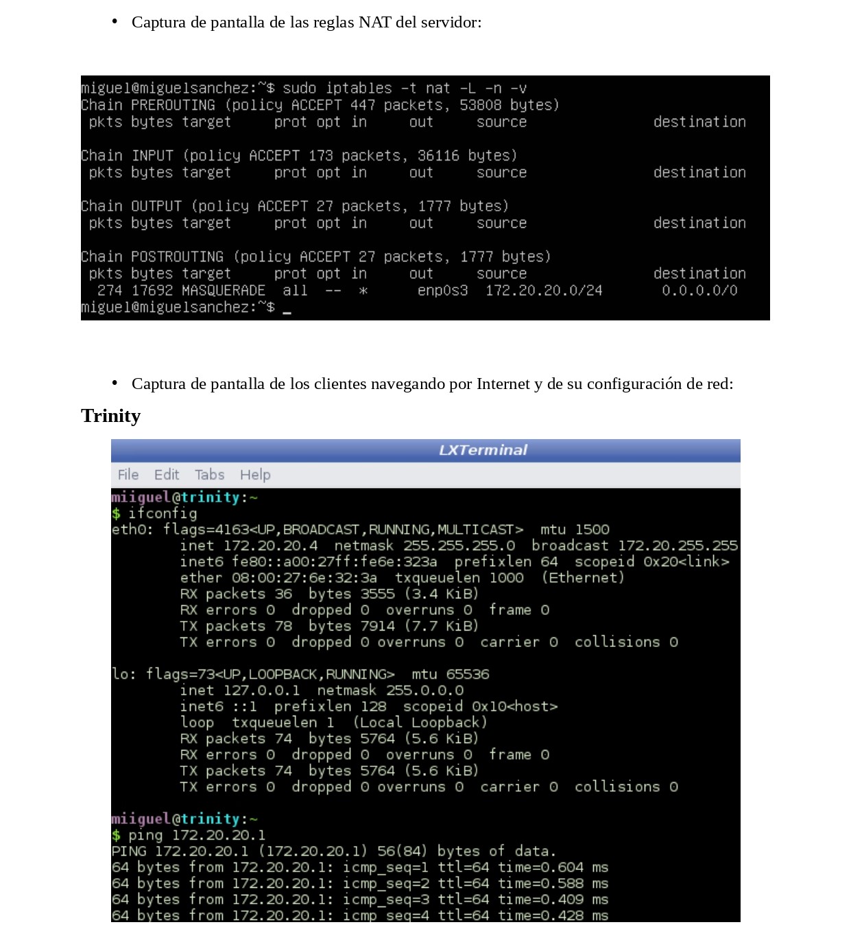 Introducción a los servicios en red (Ubuntu/Linux)