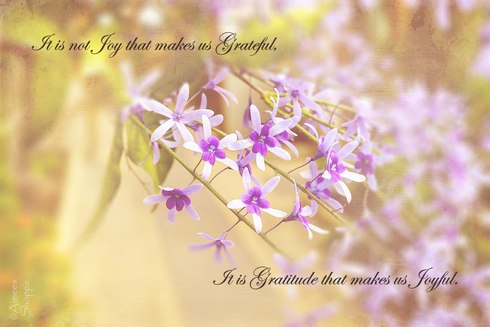 A Time For All Seasons