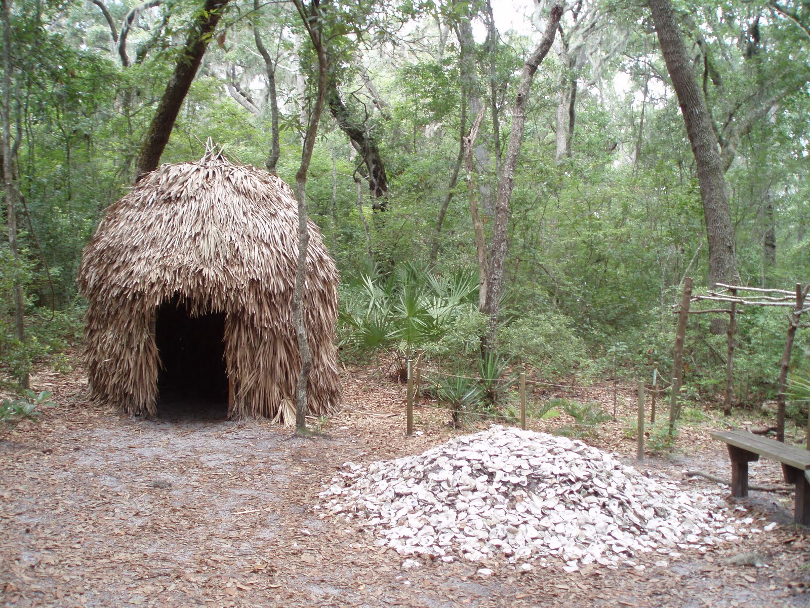 Park Pick: Timucuan Ecological & Historic Preserve