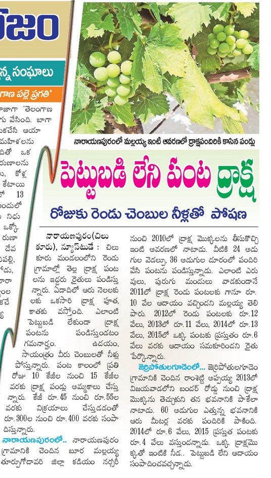 Simple, easy and Profitable Farming: Grapes @Home