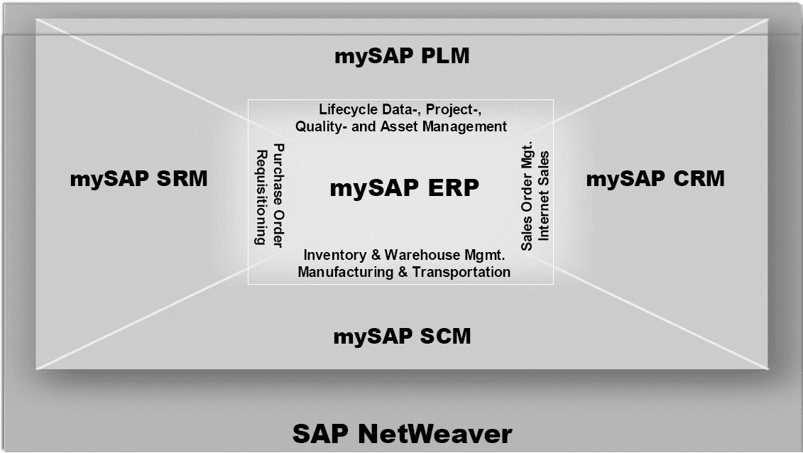 MySAP ERP Advantages and Main Features - SAP ABAP